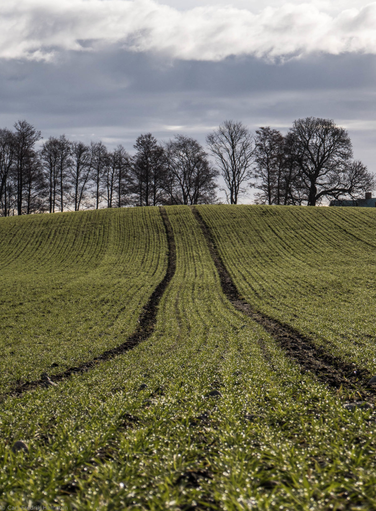 Jordbruket - Boo Egendom